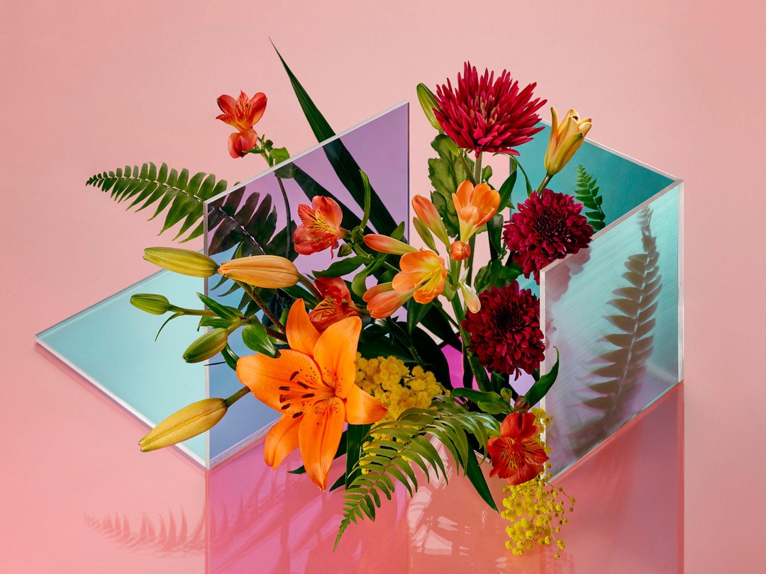 NIK MIRUS: STILL AND MOVING IMAGES | Nik Mirus