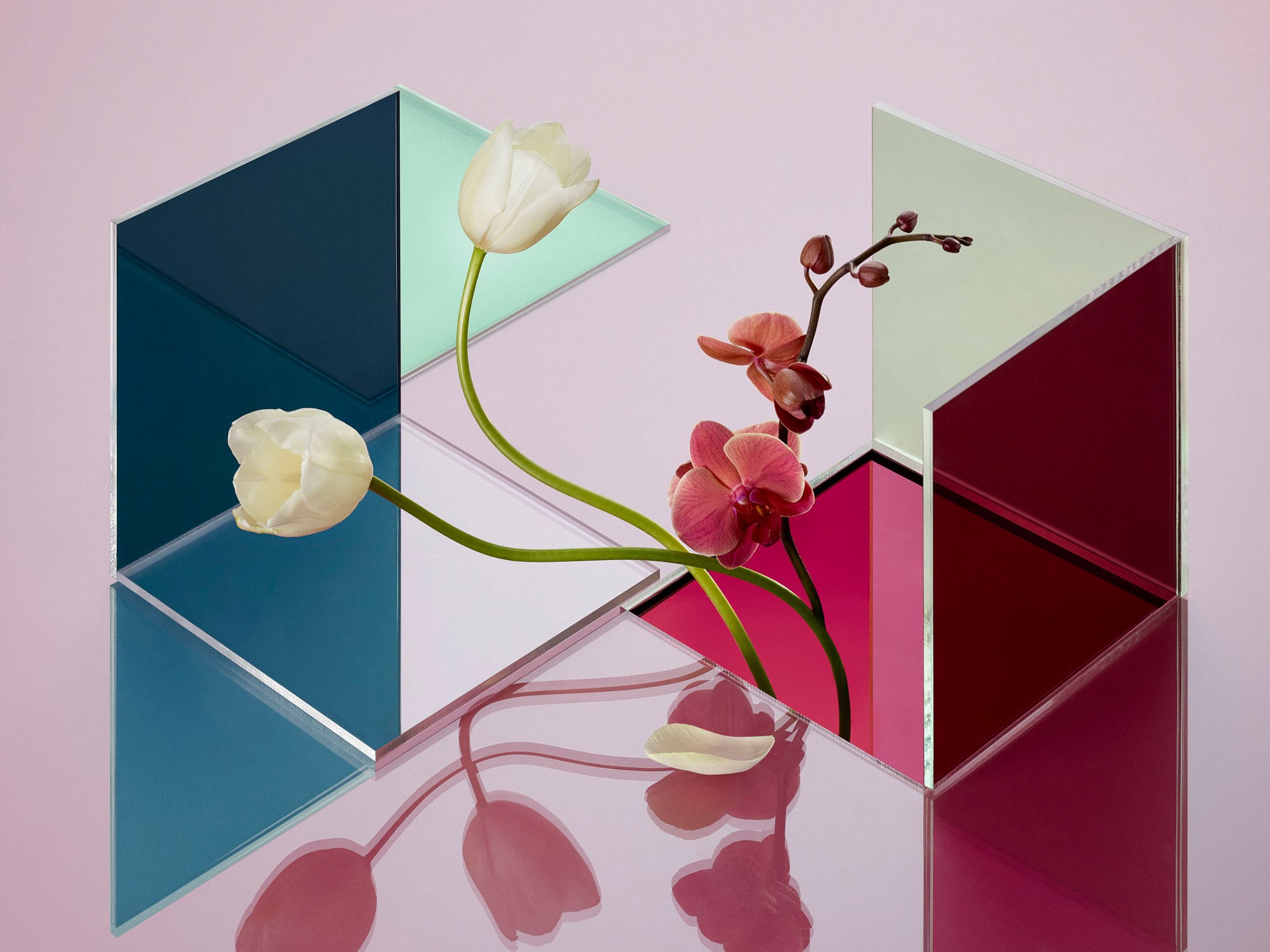 NIK MIRUS: STILL AND MOVING IMAGES | Nik Mirus